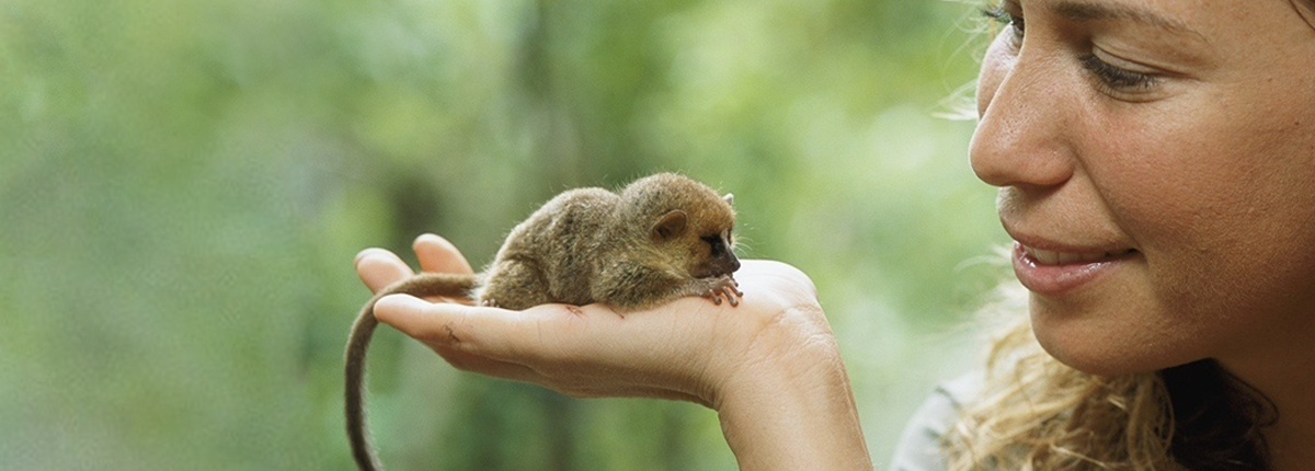 My Wild Life with Explorer Mireya Mayor | Fox Cities Performing Arts Center